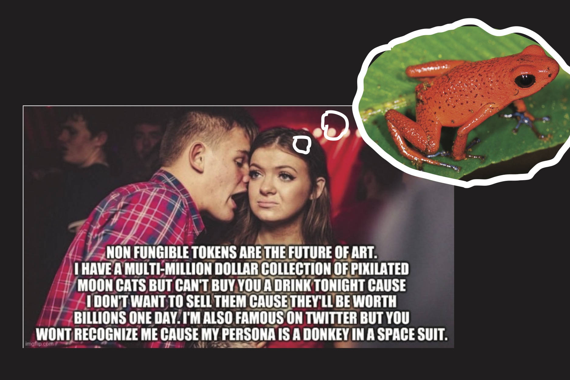 For the Strawberry Poison Dart Frog | Weird Economies
